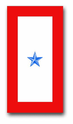 'ONE BLUE STAR' SERVICE FLAG VINYL TRANSFER DECAL