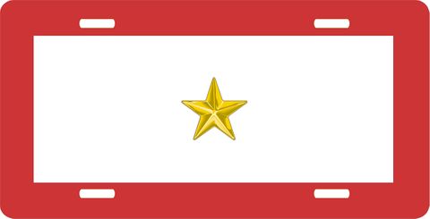 One Gold Star License Plate