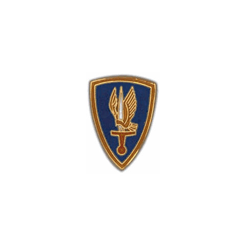 1st Aviation Brigade Pin - 1st Aviation Brigade - PriorService.com