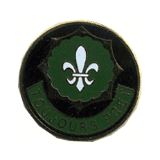2nd Armored Cavalry Regiment ACR Combat Service Identification Badge ...