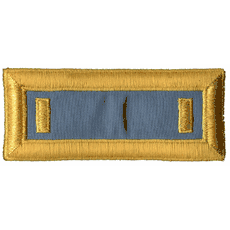 Lieutenant Colonel Infantry Dress Pair of Shoulder Boards - US Army ...