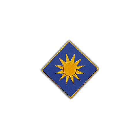 40th Infantry Division Pin - 40th Infantry Division - PriorService.com