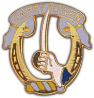 7th Cavalry Pin - Cavalry Pins - PriorService.com