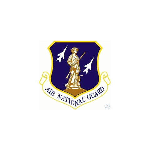 Air National Guard Decal - US Air Force Decals - PriorService.com