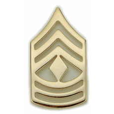Army Sergeant E-5 Pin-On Rank Pair - Army Brass Pin-On Rank ...