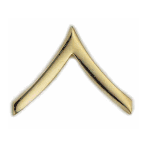 Army Private E-2 Pin-On Rank Pair - Army Brass Pin-On Rank ...