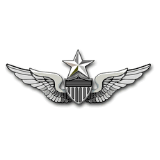 Army Aviator Wing Vinyl Decal - US Army Combat Badges Vinyl Stickers ...