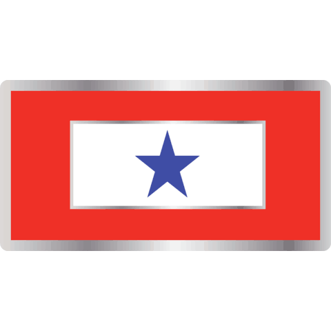 Blue Star Service Banner License Plate - Veterans License Plates ...