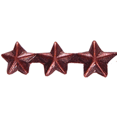 Gold Star - Attachments/Devices For Ribbons and Medals - PriorService.com