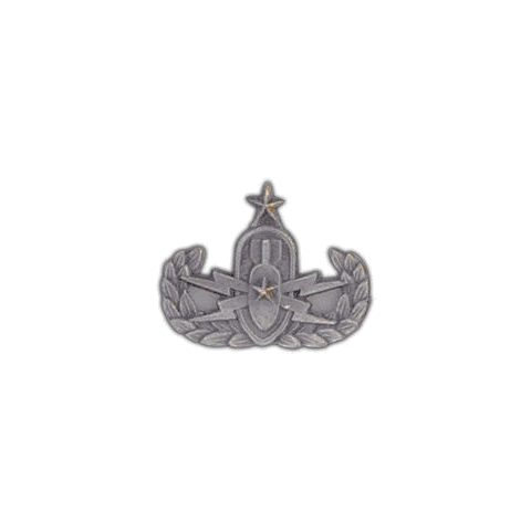 EOD Senior Pin - Miscellaneous Army Pins - PriorService.com