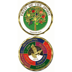 Christian Soldier Checklist Challenge Coin - Spiritual Challenge Coins ...