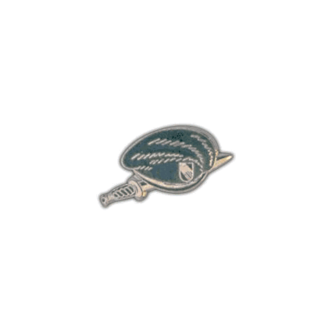 Green Beret Pin - Miscellaneous Army Pins - PriorService.com