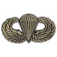 Master Paratrooper Pin - Miscellaneous Army Pins - PriorService.com