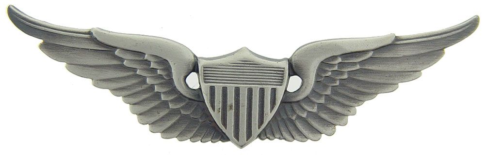 Army Pilots Pin