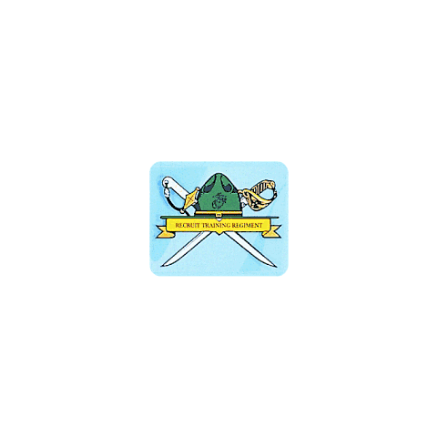 Recruit Training Regiment Bat. Decal - More Marine Unit Decals ...