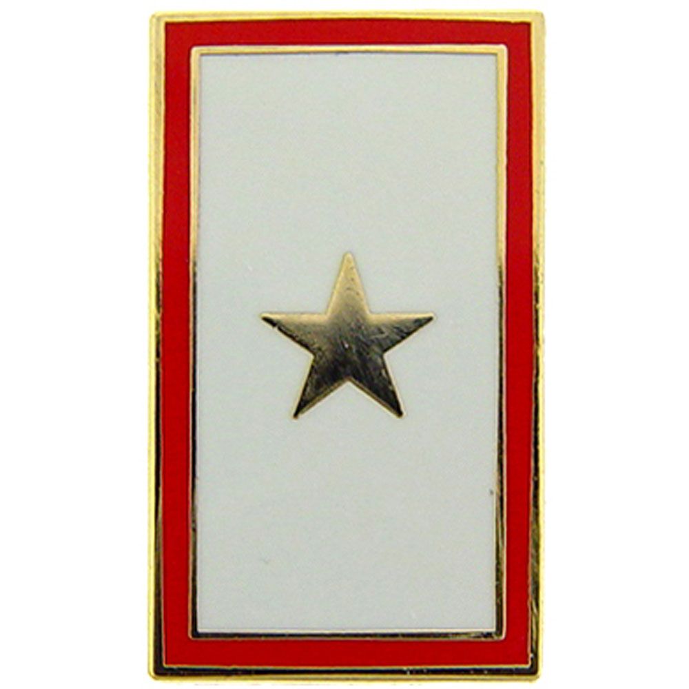 Gold Star Banner Pin