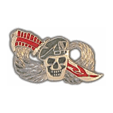 Special Forces Pin - Special Forces Pins - PriorService.com