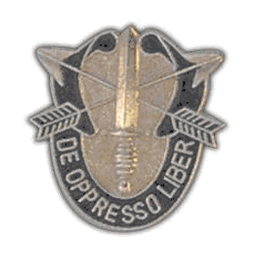 Special Forces Pins , Military Gifts and more at PriorService.com