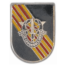 Special Forces Pin - Special Forces Pins - PriorService.com