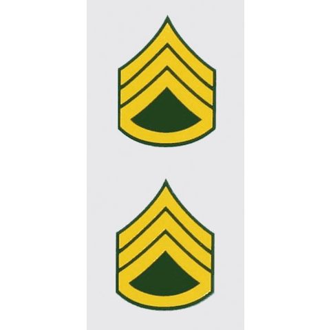 U.S. Army E-6 Staff Sgt. 2 pc.