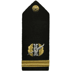 US Navy Rear Admiral Shoulder Boards - US Navy Shoulder Boards ...
