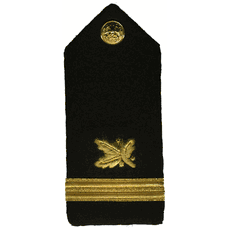 US Navy Rear Admiral Shoulder Boards - US Navy Shoulder Boards ...