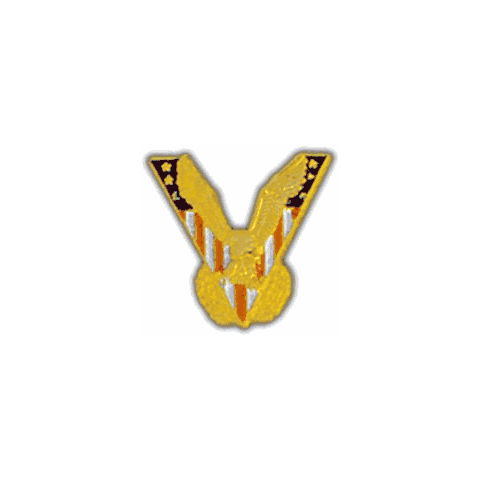 Victory Eagle Hat Pin - Veteran and Other Pins - PriorService.com
