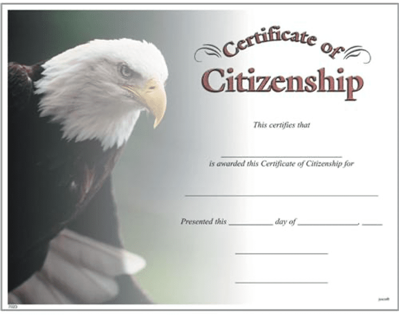 Citizenship Pins, Medals, Certificates & Awards | TrophyCentral