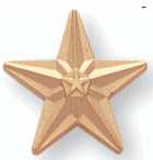 Award Pins: Custom Pins + Lapel Pins