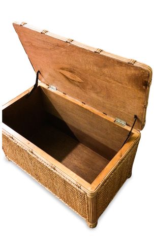 Seagrass Storage Trunk