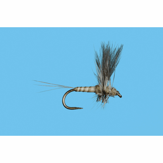 CDC Thorax Callibaetis - Callibaetis Fly Patterns