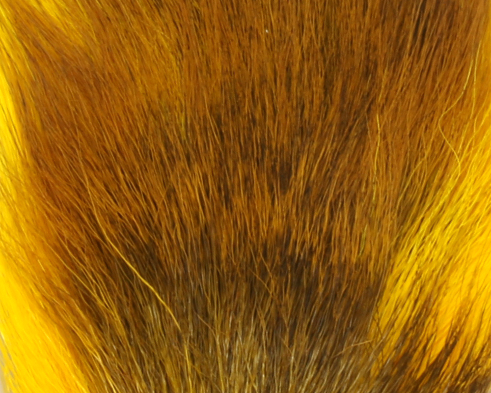 Petite Bucktails - Bucktails for Fly Tying