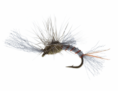 Callibeatis Fly Patterns | Callibeatis Dry Flies and Emergers
