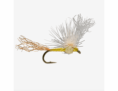 Traditional and Innovative Dry Flies for Trout Fishing