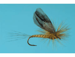 Green and Grey Drake Flies | Green & Gray Drake emergers