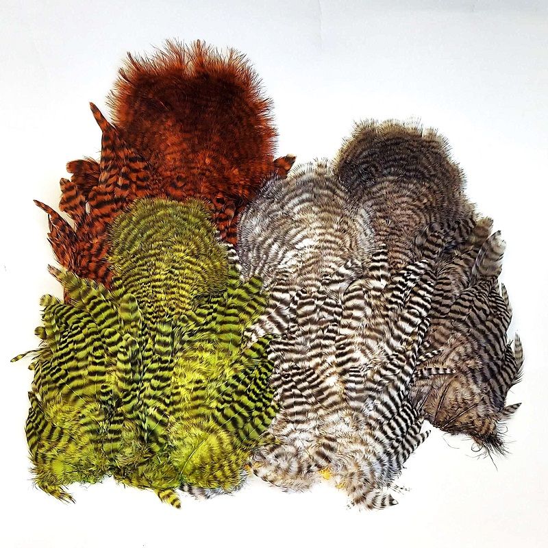 Whiting Rooster Soft Hackle with Chickabou - Whiting Farms Rooster Feathers