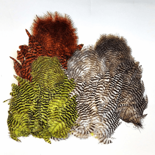 Whiting Rooster Soft Hackle with Chickabou - Whiting Farms Rooster Feathers