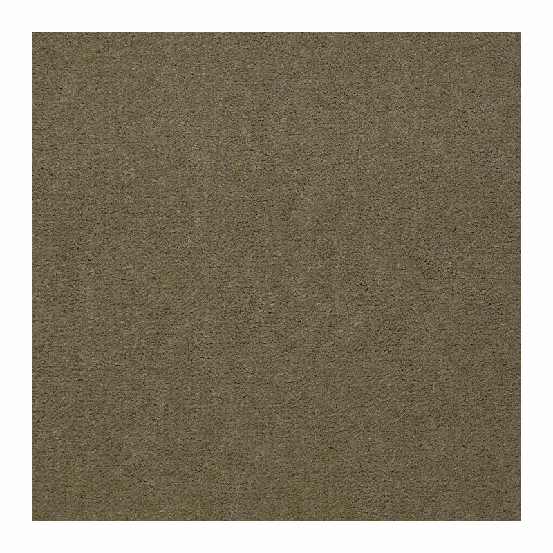Patcraft Windswept Herb Carpet