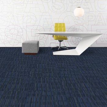 Shaw Contract Carpet