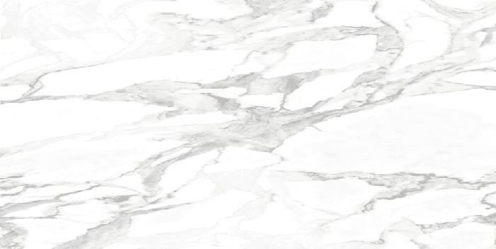 Vallelunga Calacatta 12" x 24"