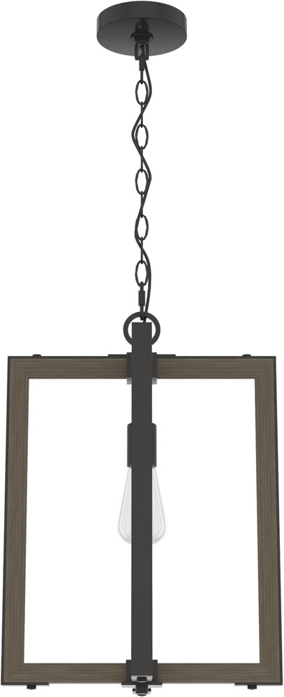 Hunter Lighting 19814 Woodburn Contemporary Lighting Pendant - HNL-19814