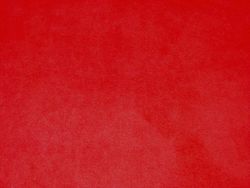 Suede Headliner Red OUT OF STOCK